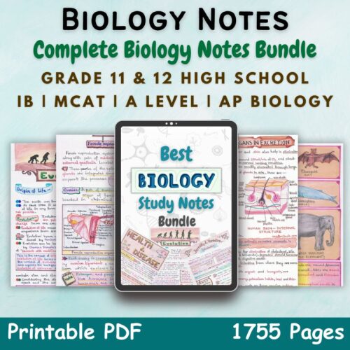 Aesthetic Notes – NewtonDesk