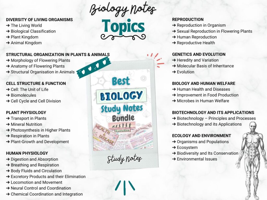 Biology Aesthetic Notes (Special Edition) [PDF] | For High School Grade ...