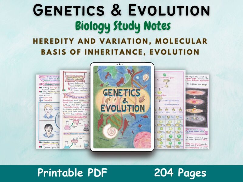 Genetics and Evolution | Biology Aesthetic Notes [PDF] | For High ...