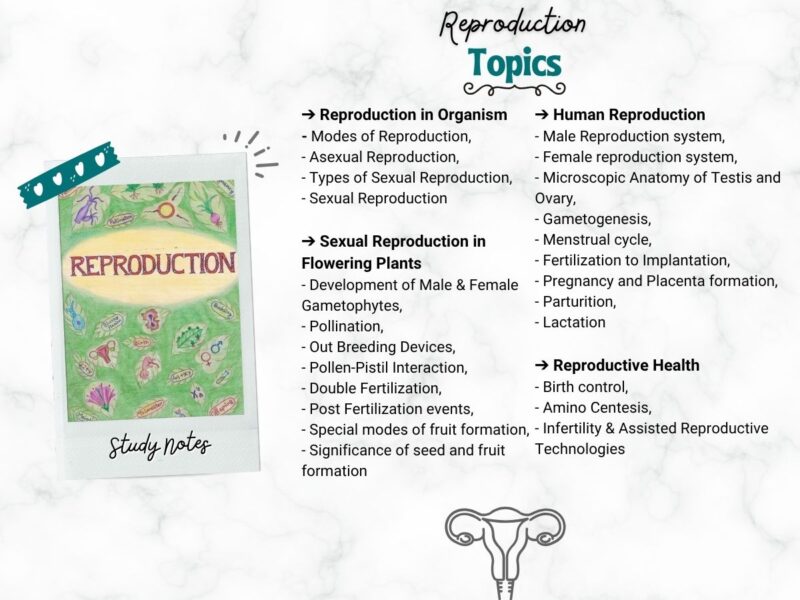 Reproduction Biology Notes PDF for A Level & AP Exams | NewtonDesk